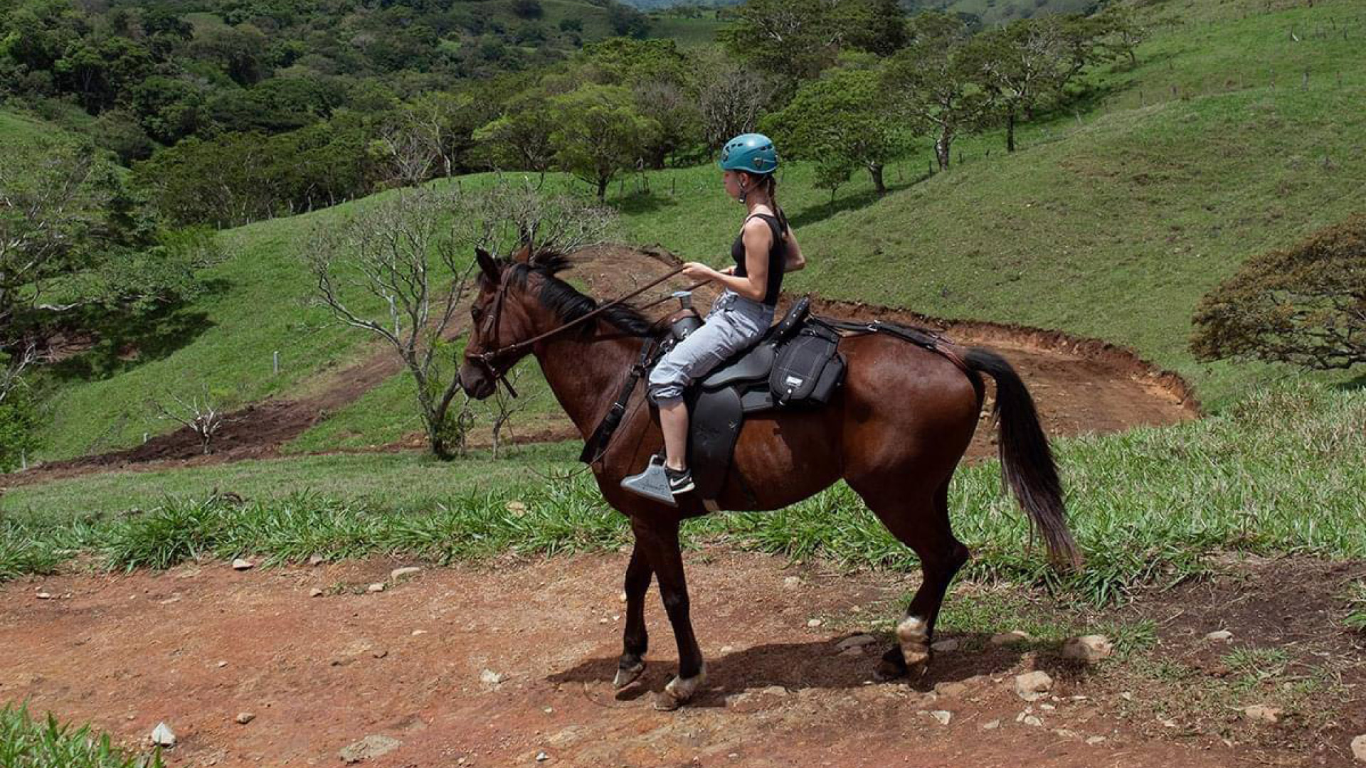 Panoramic Horseback Ride | Monteverde Extremo Park - Tourist In Monteverde